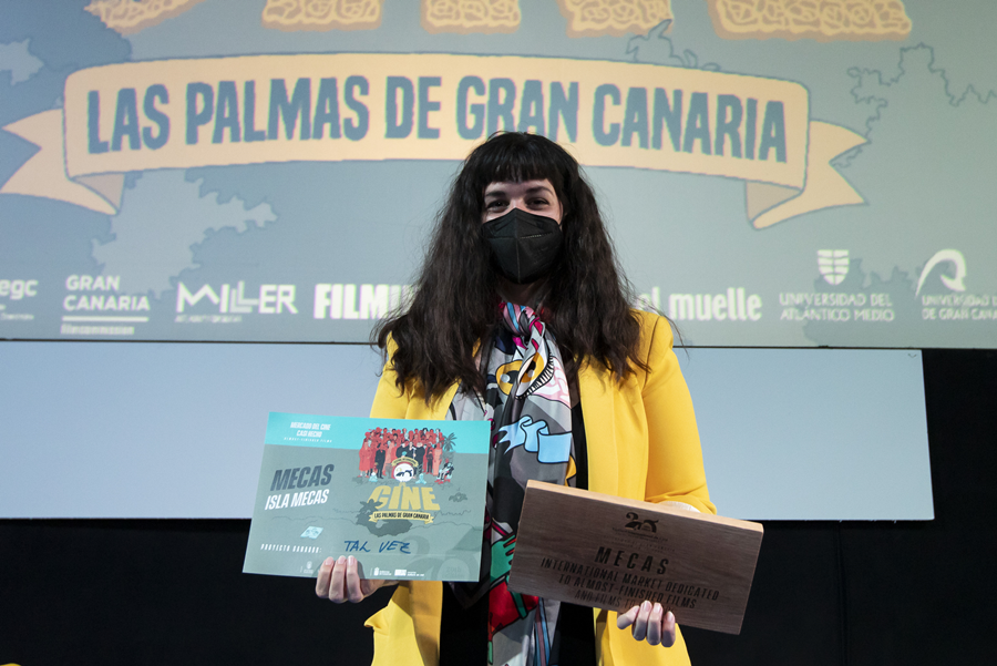 Mecas Selecciona Siete Proyectos Canarios Y Presenta Su Programa Isla