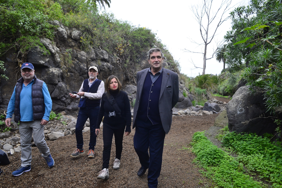 El Ayuntamiento ha incorporado a su Plan Verde de la ciudad más de 30 ...
